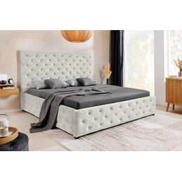 Riess Ambiente Design Boxbett PARIS 160x200cm champagner beige Samt mit Stauraum Chesterfield Riess-Ambiente