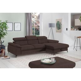 COTTA Ecksofa &raquo;Kitty L-Form, B: 242 cm&laquo; mit Kopfteilverstellung, optional Bettfunktion & Bettkasten braun Microfaser (100% Polyester);Flachgewebe (100