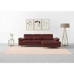 Sit & More SIT&MORE Ecksofa »Cabrio L-Form, B: 295 cm, mit Sitztiefen-, Arm- & Kopfteilverstellung« 2 Nierenkissen, Federkern, optional Bettfunktion und...