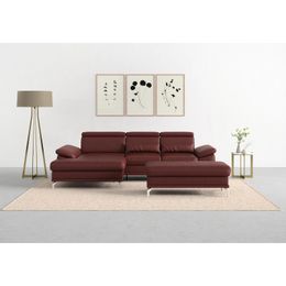 Sit & More SIT&MORE Ecksofa »Cabrio L-Form, B: 295 cm, mit Sitztiefen-, Arm- & Kopfteilverstellung« 2 Nierenkissen, Federkern, optional Bettfunktion und...