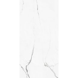 Vinylboden 'Solid Rock' Light Marble 8,5 mm