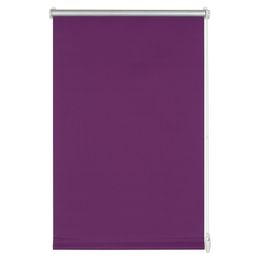 Gardinia EasyFix Rollo 'Thermo energiesparend' lila 60 x 150 cm