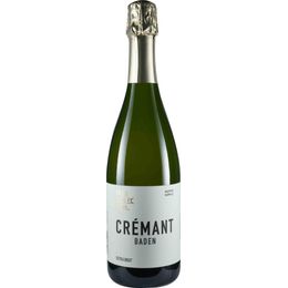 Weingut Fasskollektion extra brut Blauer Sp&auml;tburgunder 2022 Extra Brut - Baden &ndash; Perl- & Schaumwein Cr&eacute;mant