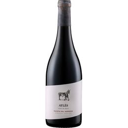 Pago Ayl&eacute;s Cuesta del Herrero Cuv&eacute;e 2023 - Aragonien &ndash; Rotwein Vino