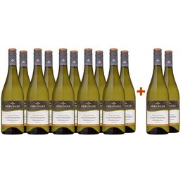 Kaiserst&uuml;hler Winzergenossenschaft Ihringen Kaiserst&uuml;hler Winzergenossenschaft Ihringen 10+2 Paket Ihringer Fohrenberg Grauburgunder 2024 Trocken - Baden &ndash; Probierpaket Qualit&auml;tswein