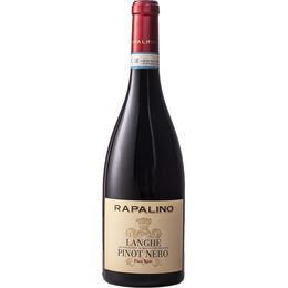 Rapalino F.lli di Claudio Langhe Pinot Nero 2021 Trocken - Piemont &ndash; Rotwein DOC