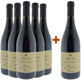 Poderi Vaiot 5+1 Antavař&igrave;a Piemonte Bonarda 2022 Trocken - Piemont &ndash; Probierpaket DOC