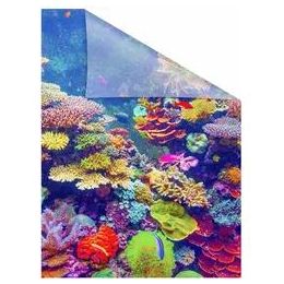 Fensterfolie LICHTBLICK ORIGINAL "Aquarium" Gr. 2, bunt (blau, gelb, lila), B:50cm L:100cm, PVC, Fensterfolien, selbstklebend, Sichtschutz