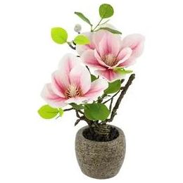 Kunstblume I.GE.A. "Magnolie im Topf", rosa, B:14cm H:33cm L:16cm, Polyester, Kunstpflanzen, Künstlich wie echt Deko Blume Zimmerpflanze Baum klein Magnolienblüten