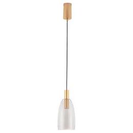 NOVA LUCE Pendelleuchte "IMATIA", gold, rauch, 1 flammig, Ø 14,2cm H: 215cm,, Lampen