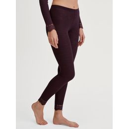 Calida Leggings in black cherry | Gr.: S