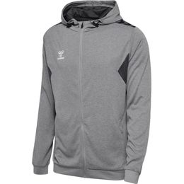 Hummel Trainingsjacke "Hmlauthentic Pl Zip Hoodie" in Grau | Gr.: S