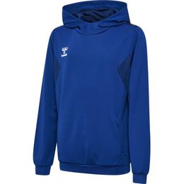 Hummel Kinder Sweatshirt "Hmlauthentic Pl Hoodie Kids" in Blau | Gr.: 116