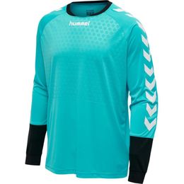 Hummel Trikot in Blau | Gr.: XXL