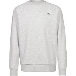 ICANIWILL Sweatshirt 'Everyday' male Grey size S