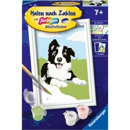 Malen nach Zahlen Ravensburger "CreArt, Border Collie Welpe", bunt, Malvorlagen, KinderB:5cm H:12cm, Made in Europe, B:5cm H:12cm