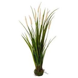 Kunstgras Creativ green "Miscanthus im Erdballen", beige (creme), H:75cm, Obermaterial: 100% Polyethylen, Kunstpflanzen