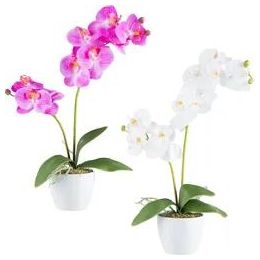 Kunstorchidee Creativ green "Orchidee Phalaenopsis", weiß, H:57cm, Kunststoff, Kunstpflanzen, mit real-touch-Blüten