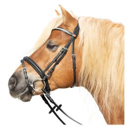 Kieffer Trensenzaum Kieffer Ultrasoft Haflinger schwarz Haflinger