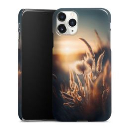 DeinDesign iPhone 11 Pro Max Handy Premium Case Smartphone Handyh&uuml;lle Schutzh&uuml;lle gl&auml;nzend Sun Pampasgras Nature Premium Case