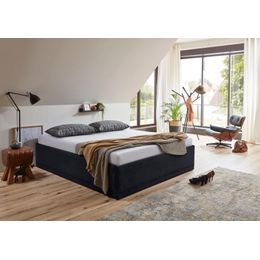 Polsterbett "Texel", schwarz, B:206cm H:34cm L:206cm, Bezug Bett: Veloursstoff 100% Polyester oder Microfaser (100% Polyester);Bonnell-Federkernmatratze: 51% Polypropylen, 39% Polyester und 10% Baumwolle;Kaltschaummatratze: 100% Polyester, Bezug abnehm- und waschbar bis 60C;Kissenbezug: 100% Polyester, Füllung : 100% Polyester (Hohlfaser), Westfalia Schlafkomfort, Betten, Standardhöhe mit Zierkiss