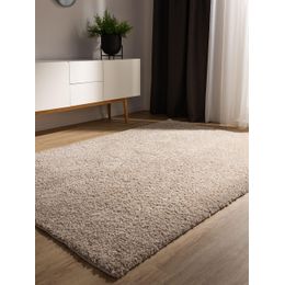 benuta Basic Waschbarer Hochflor Shaggyteppich Soho Beige 60x120 cm - Bettvorleger f&uuml;r Schlafzimmer
