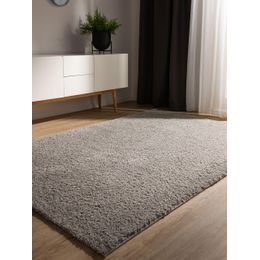 benuta Basic Soho Hellgrau 60x120 cm - Moderner Kurzflor-Teppich f&uuml;r Wohnzimmer
