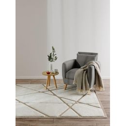 benuta Basic Berber-Stil Teppich Elvy Cream/Beige 120x170 cm