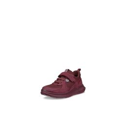 Ecco Sneaker 'BIOM 2.2' Jungen Größe 39 bordeaux