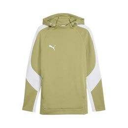 Puma Athletic Sweatshirt male Green size XXXL