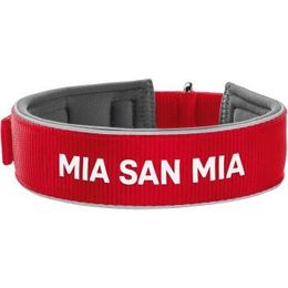Hunter Halsband Neopren FC Bayern M&uuml;nchen 50 cm