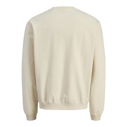 Jack & Jones Jack & Jones Junior Pullover MEADOWS Sweatshirt