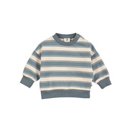 M&uuml;sli by GREEN COTTON M&uuml;sli By Green Cotton Sweatshirt boy Blue size 92