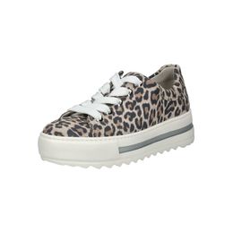 Gabor Sneaker in Leopard | Gr.: 35,5