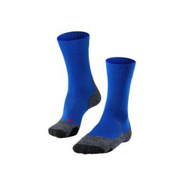 Falke Socken 1er Pack in Blau | Gr.: 42/43