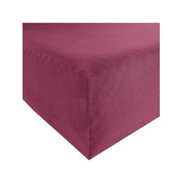 Erwin M&uuml;ller Erwin M&uuml;ller Single-Jersey Spannbettlaken Freising in aubergine | Gr.: 80x200 cm - 80x220 cm