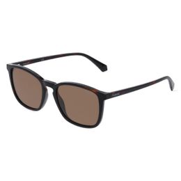 Polaroid PLD 4139/S | Herren-Sonnenbrille | Fassung: Vollrand, Quadratisch, Kunststoff, Havanna Dunkel | Glasfarbe: Braun
