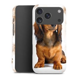 DeinDesign iPhone 17 Pro Handy Premium Case Smartphone Handyh&uuml;lle Schutzh&uuml;lle gl&auml;nzend Pet Dachshund Dog Premium Case