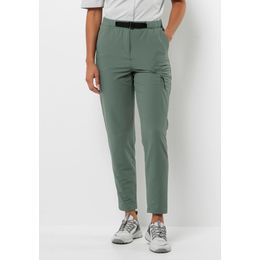 Trekkinghose Jack Wolfskin "WANDERMOOD PANTS W", Damen, Gr. 34, Normalgrößen, grün (hedge, grün), OBERSTOFF: 90% POLYAMID, 10% ELASTHAN; Futter: 100% POLYESTER, Hosen Trekkinghose