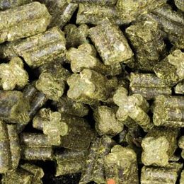 JR FARM Grainless Complete Meerschweinchen 15 kg