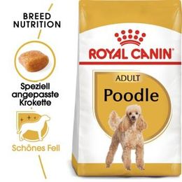 Royal Canin Poodle Adult 3 kg