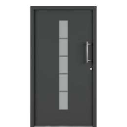 Roro Alu-Kunststoffhaust&uuml;r 'Calg' 1000 x 2000 mm DIN R