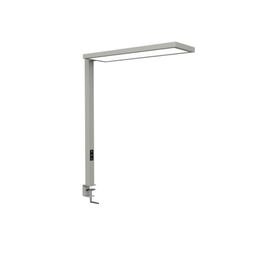 LED-Klemmleuchte Maulsenja, silberfarben, Sensor, dim., CCT