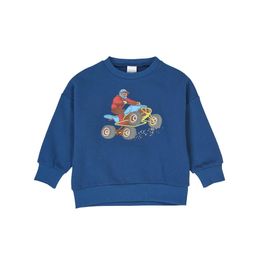 Fred's World by GREEN COTTON Fred's World By Green Cotton Sweatshirt boy Blue size 122