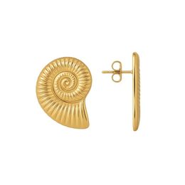 Steel_Art Muschel Ohrstecker Damen Velina goldfarben in goldfarben | Gr.: onesize