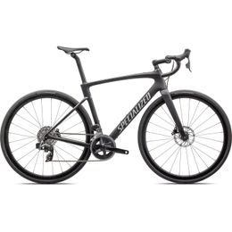 Specialized Roubaix SL8 Expert | Gr. 56 cm | Carbon Rennrad Silber