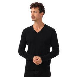 Zwillingsherz Kaschmirpullover V-Ausschnitt, Cashmere, Langarm, Regular Fit, wärmend schwarz L L Herren-Strickpullover von Zwillingherz