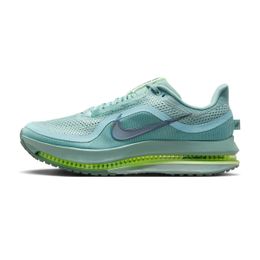 Nike Pegasus Premium Herren