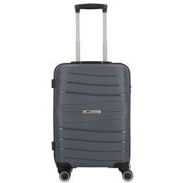 Cocoono Trolley 'Leon' Herren Größe One Size grau