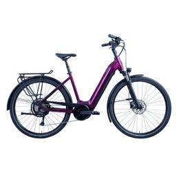 Hercules Futura I-8 Performance Line 625Wh - 53 cm - E-Bike Trekking - ultimacy bordeaux-glossy